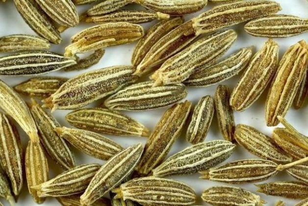 Kimyon – Şifalı Bitkiler